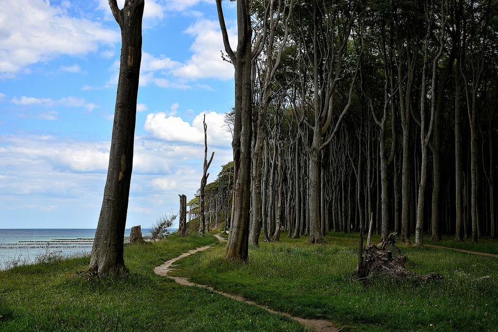 Ausflugsziele rund um Landkreis Rostock - Die Top 20 | Komoot