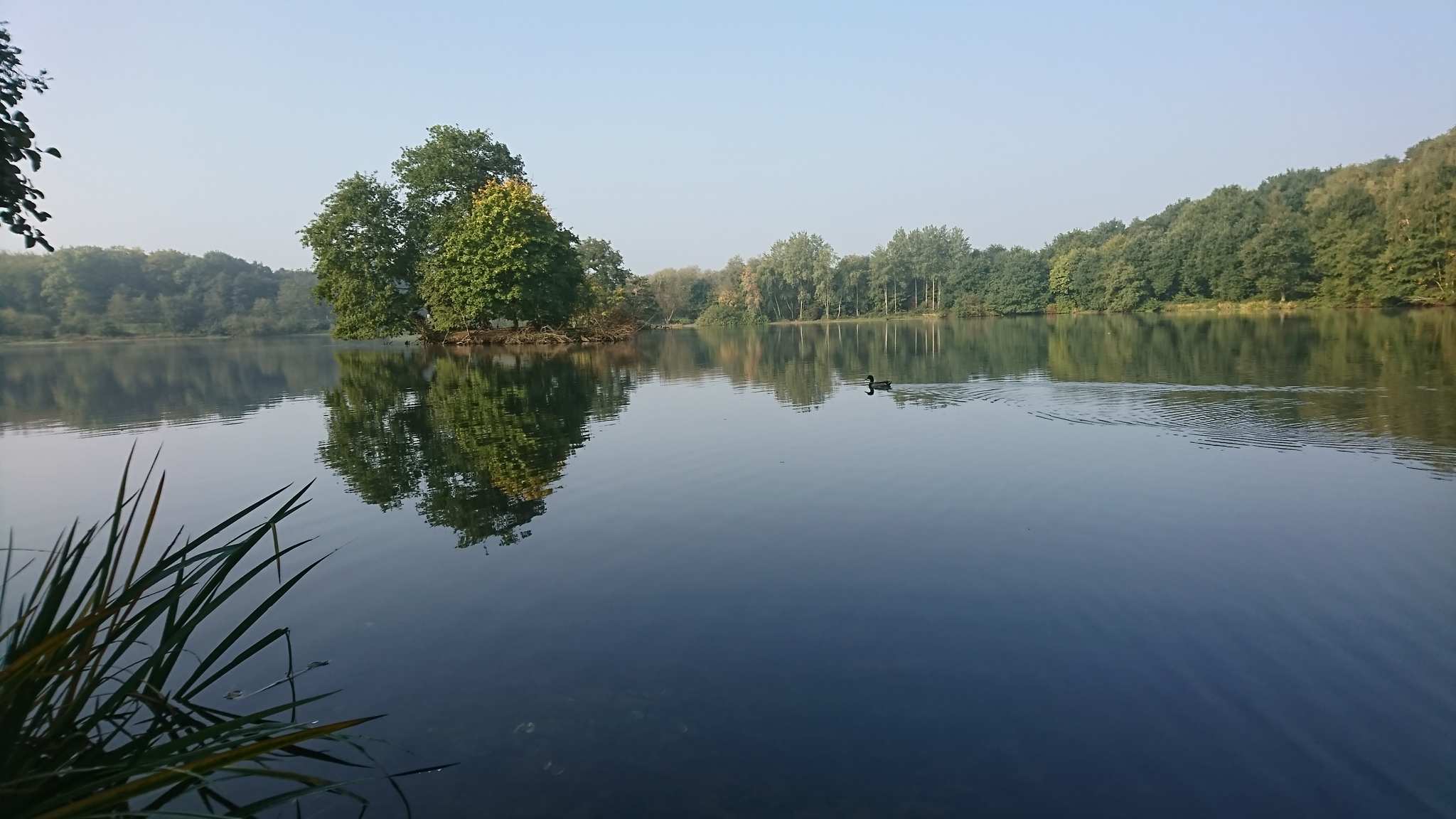 Die 13 schönsten Seen rund um Wesel | Komoot
