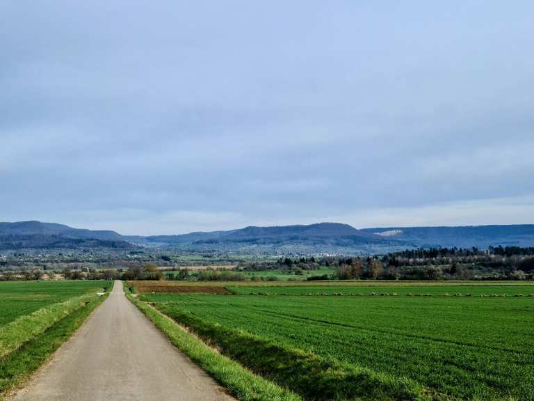 Die 10 schönsten Wanderungen rund um Dußlingen | Komoot