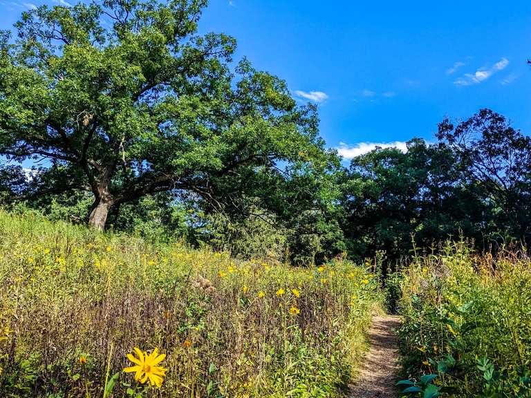 Top 10 Hikes and Walks around St. Louis Park | Komoot