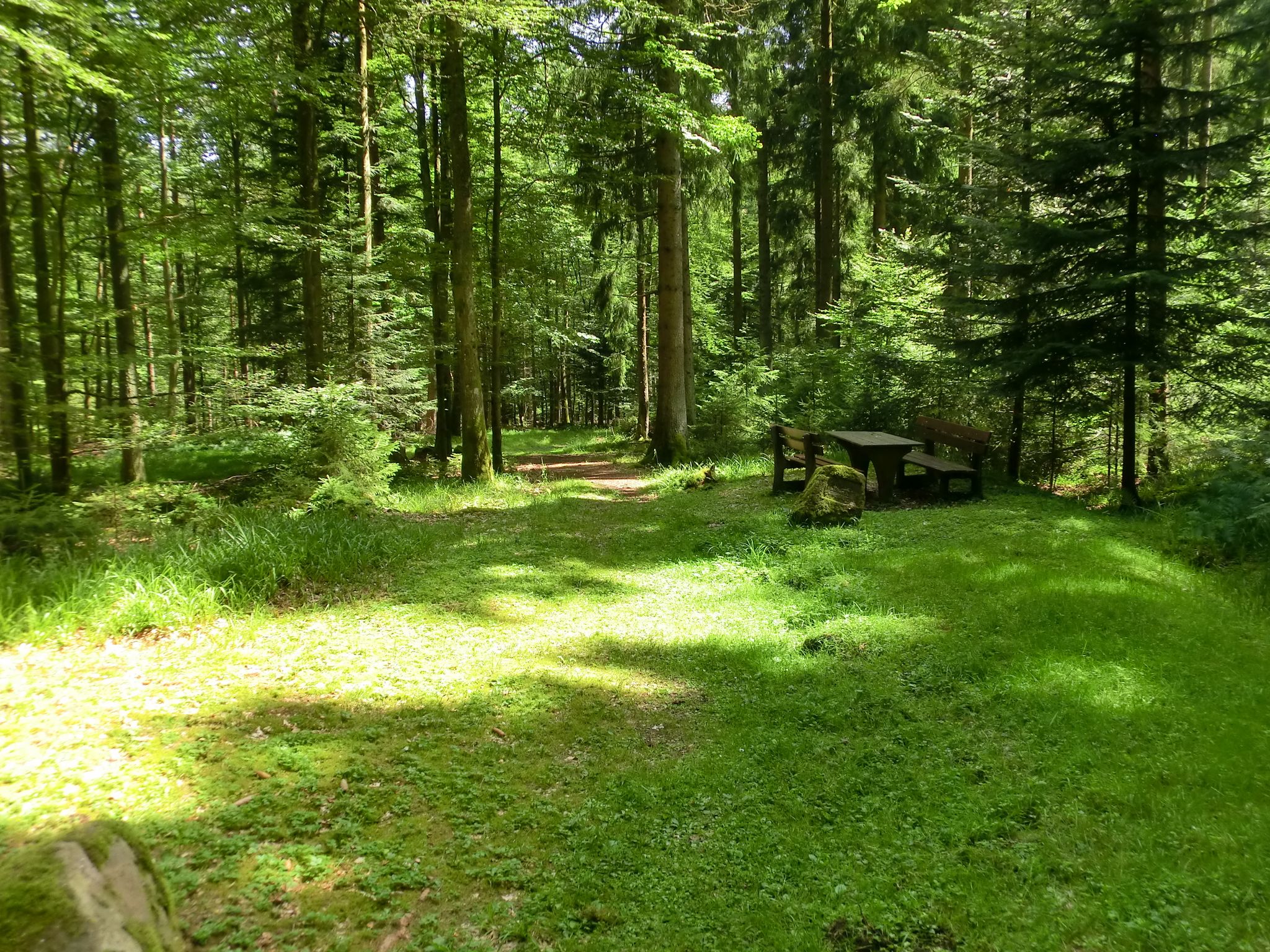 De mooiste bezienswaardigheden rond Bad Wildbad - Top 20 | Komoot