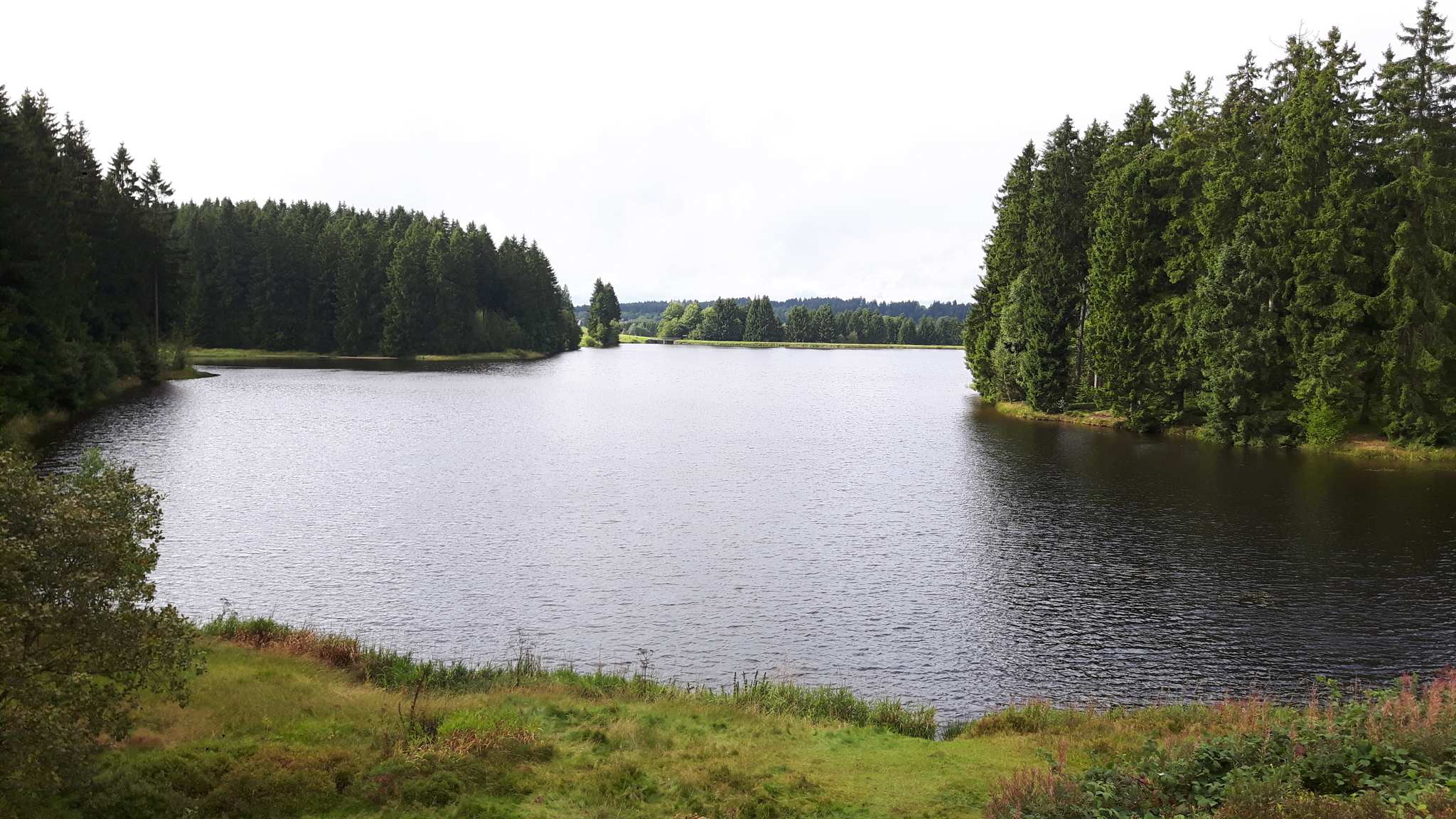 Die 20 schönsten Seen rund um Goslar | Komoot