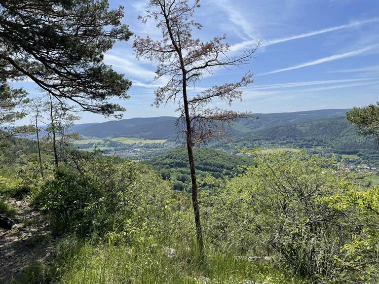 Ausflugsziele rund um Bad Blankenburg - Die Top 20 | Komoot