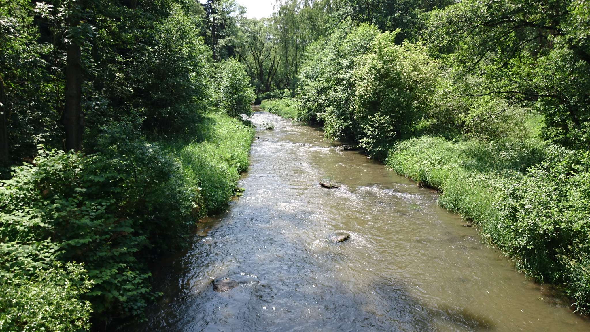Ausflugsziele rund um Freiberg - Die Top 20 | Komoot