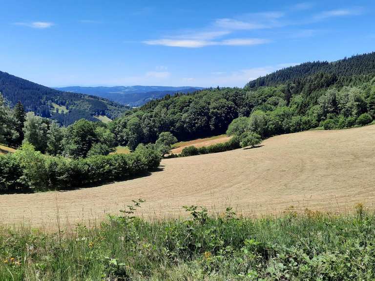 Ausflugsziele rund um Elzach - Die Top 20 | Komoot
