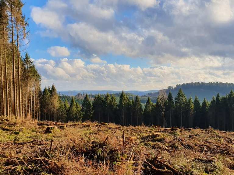 Ausflugsziele rund um Hemer - Die Top 20 | Komoot