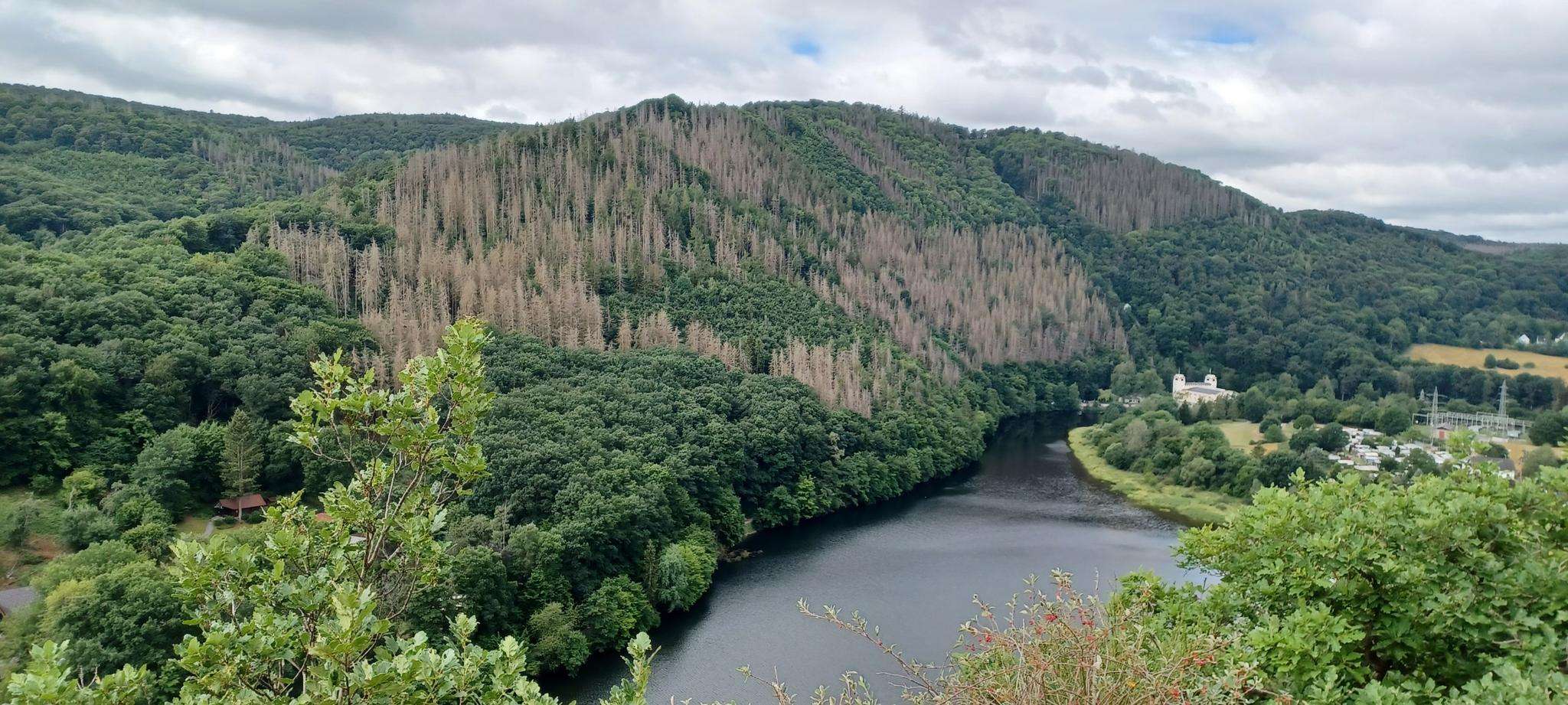 De mooiste bezienswaardigheden rond Heimbach - Top 20 | Komoot