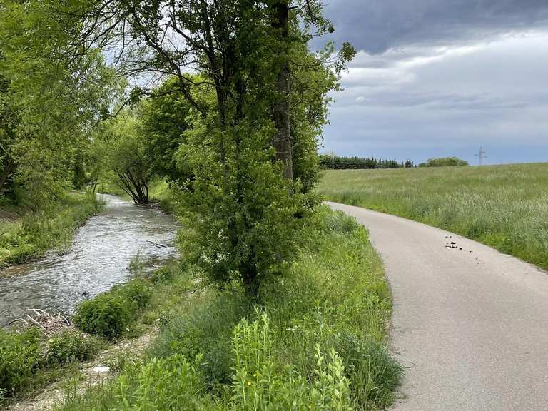 Die 10 schönsten Wanderungen rund um Eimeldingen | Komoot