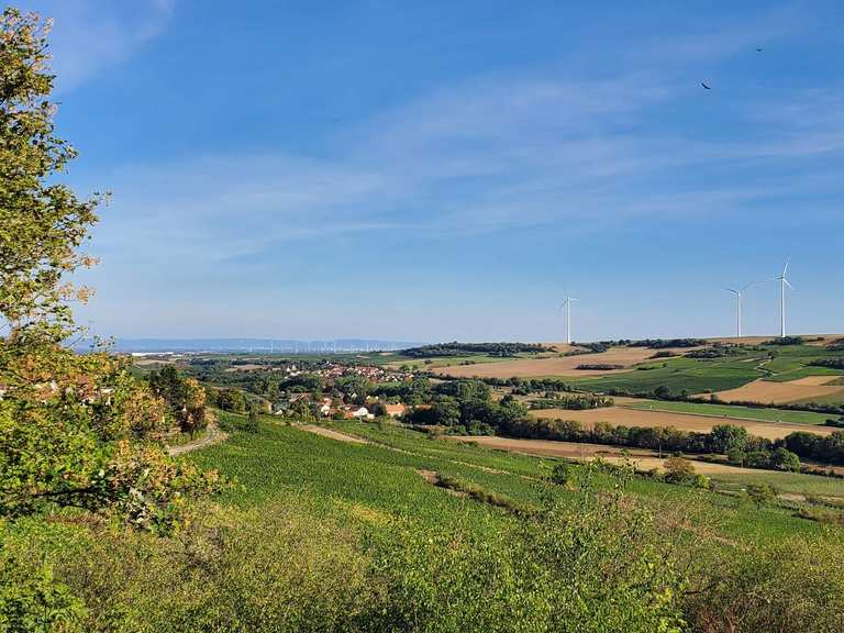 Die 10 schönsten Wanderungen rund um Einselthum | Komoot