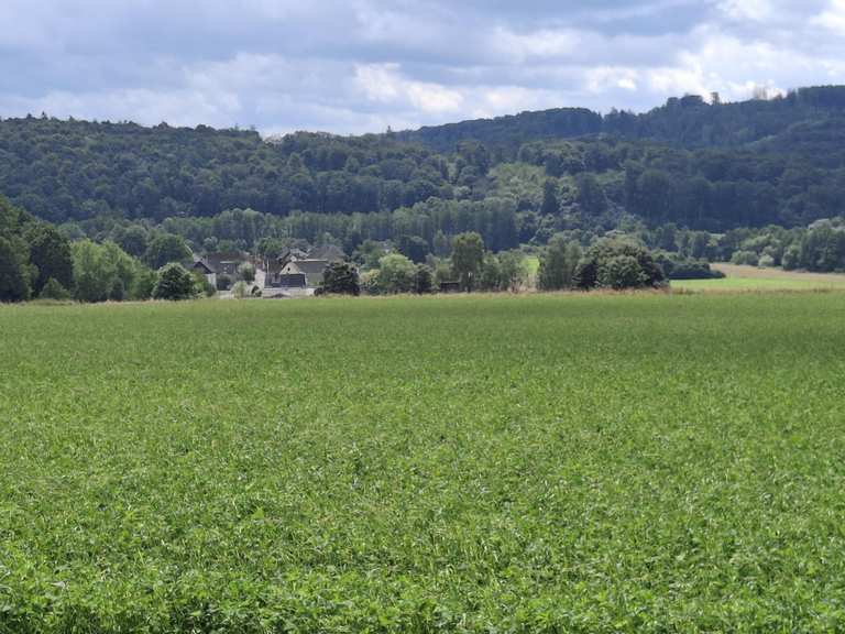 Die 10 schönsten Wanderungen rund um Ellenhausen | Komoot