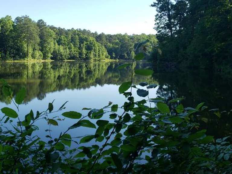 Top 9 Hikes and Walks around Wake Forest | Komoot