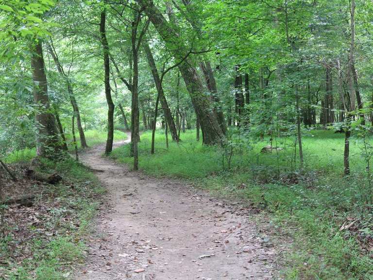 Top 20 Hikes and Walks around Cary | Komoot