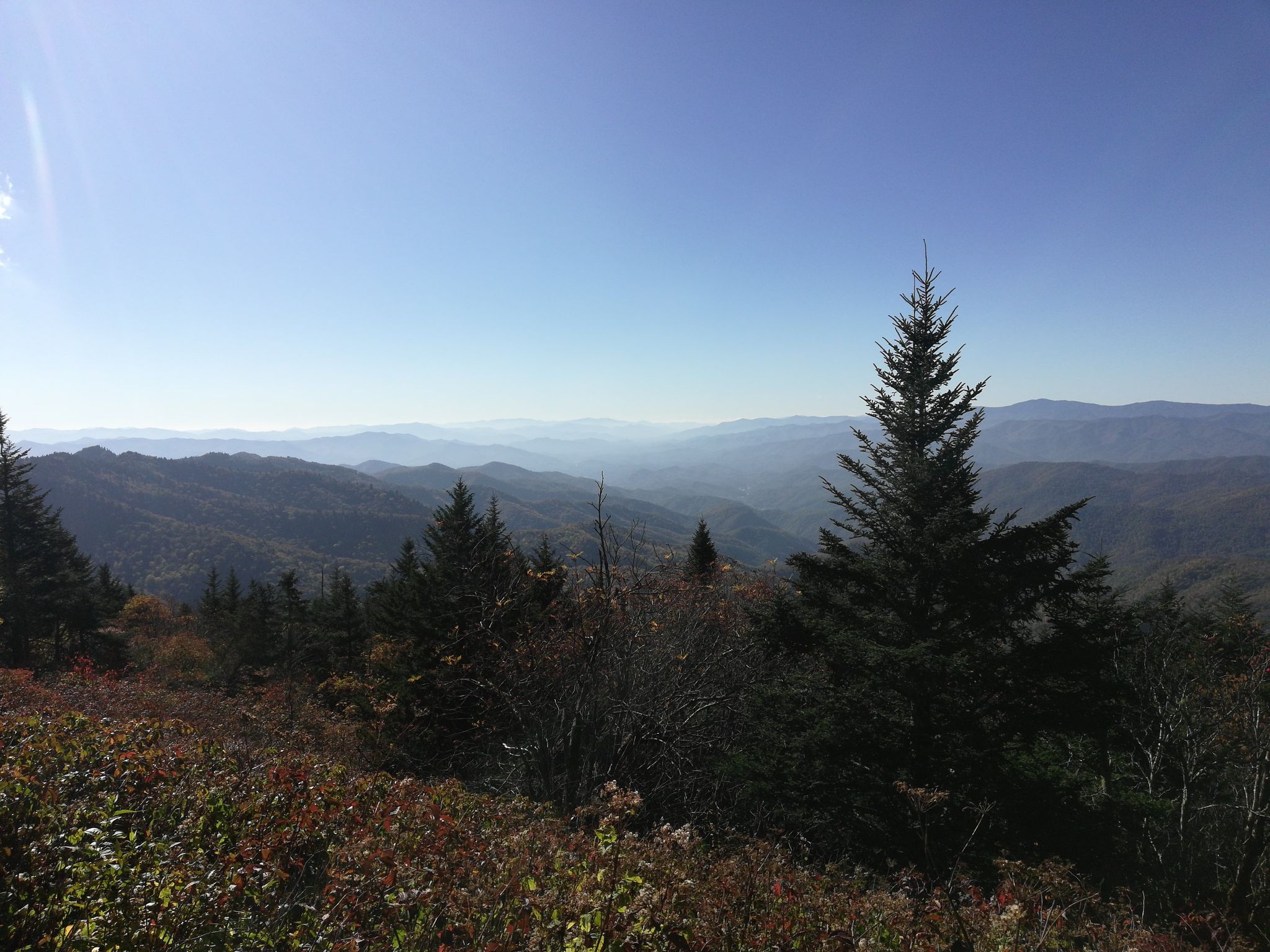 Top 11 Hikes and Walks around Maggie Valley | Komoot