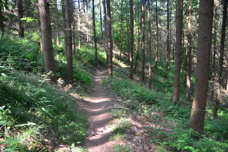 Ausflugsziele rund um Sinsheim - Die Top 20 | Komoot