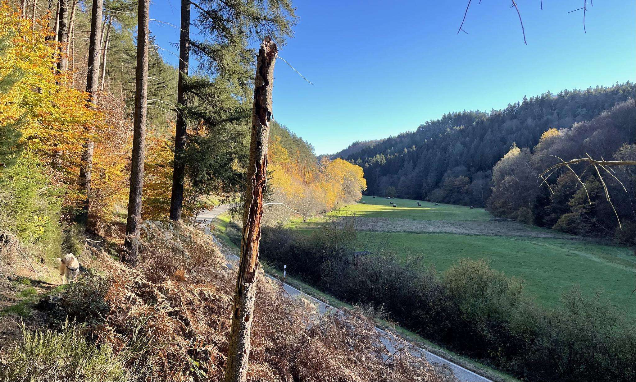 Ausflugsziele rund um Waldfischbach Burgalben - Die Top 20 | Komoot