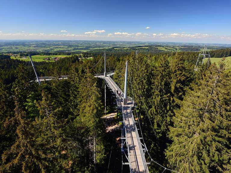Top 10 Hikes and Walks around Scheidegg | Komoot