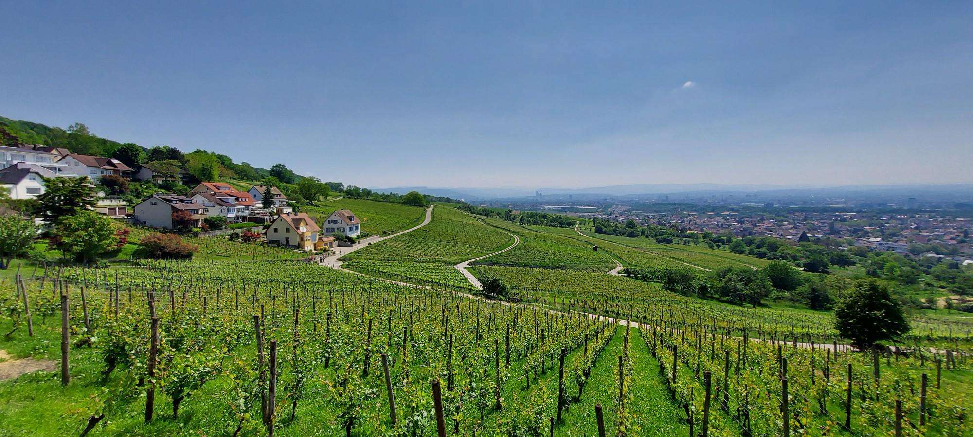 Wunderschone Weil Am Rhein Plz Bilder