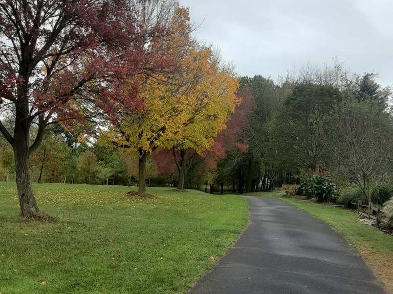 Top 5 Hikes and Walks around Munroe Falls | Komoot