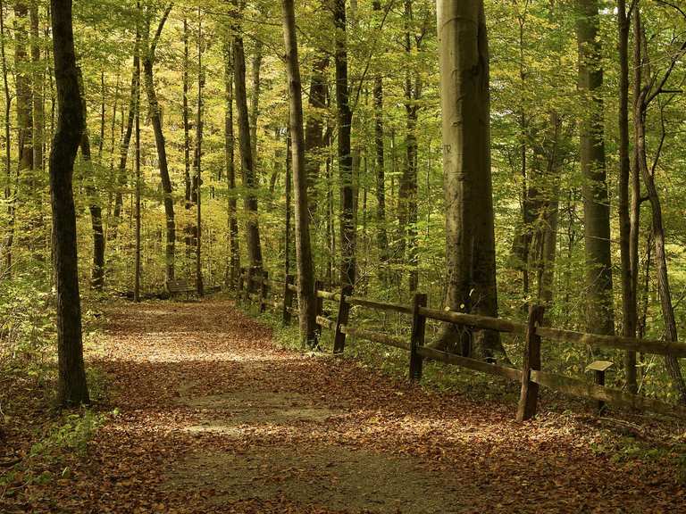 Top 5 Hikes and Walks around Columbus | Komoot
