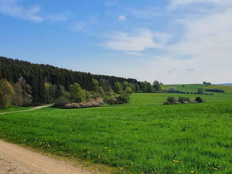 Die 10 schönsten Wanderungen rund um Engstingen | Komoot