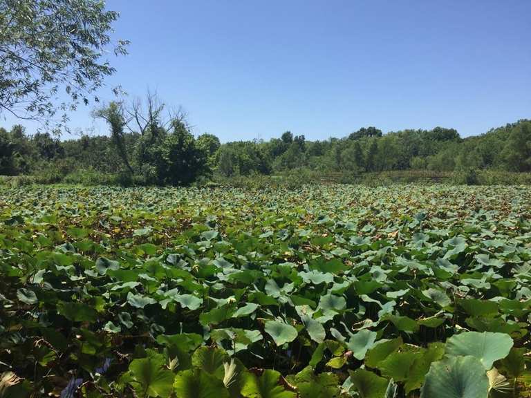 Top 10 Hikes and Walks around Tulsa | Komoot