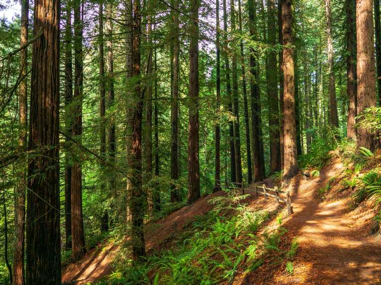 Top 10 Hikes and Walks around Beaverton | Komoot