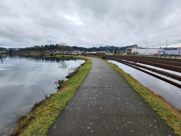 Top 7 Running Trails around Coos Bay | Komoot