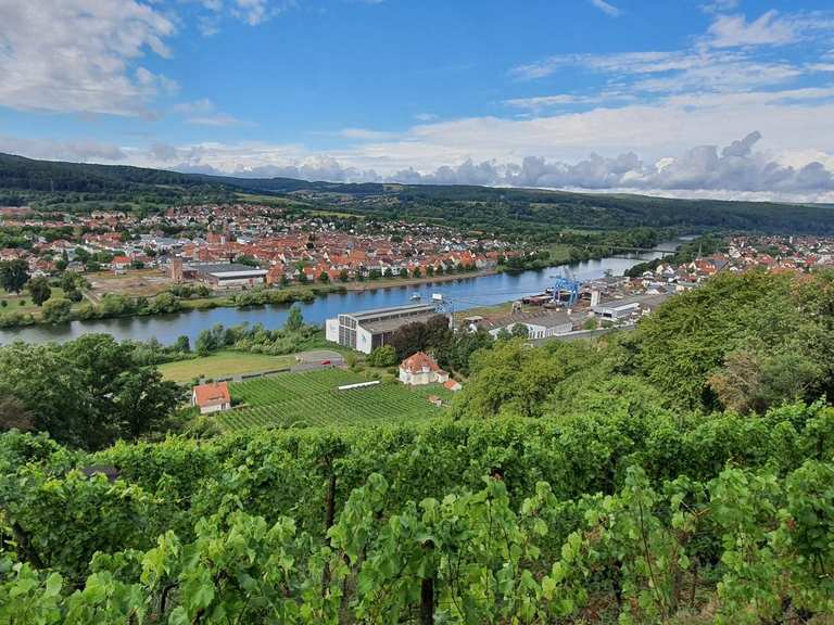 Die 10 schönsten Wanderungen rund um Erlenbach am Main | Komoot