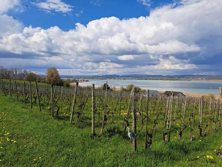 Die 10 schönsten Wanderungen rund um Ermatingen | Komoot