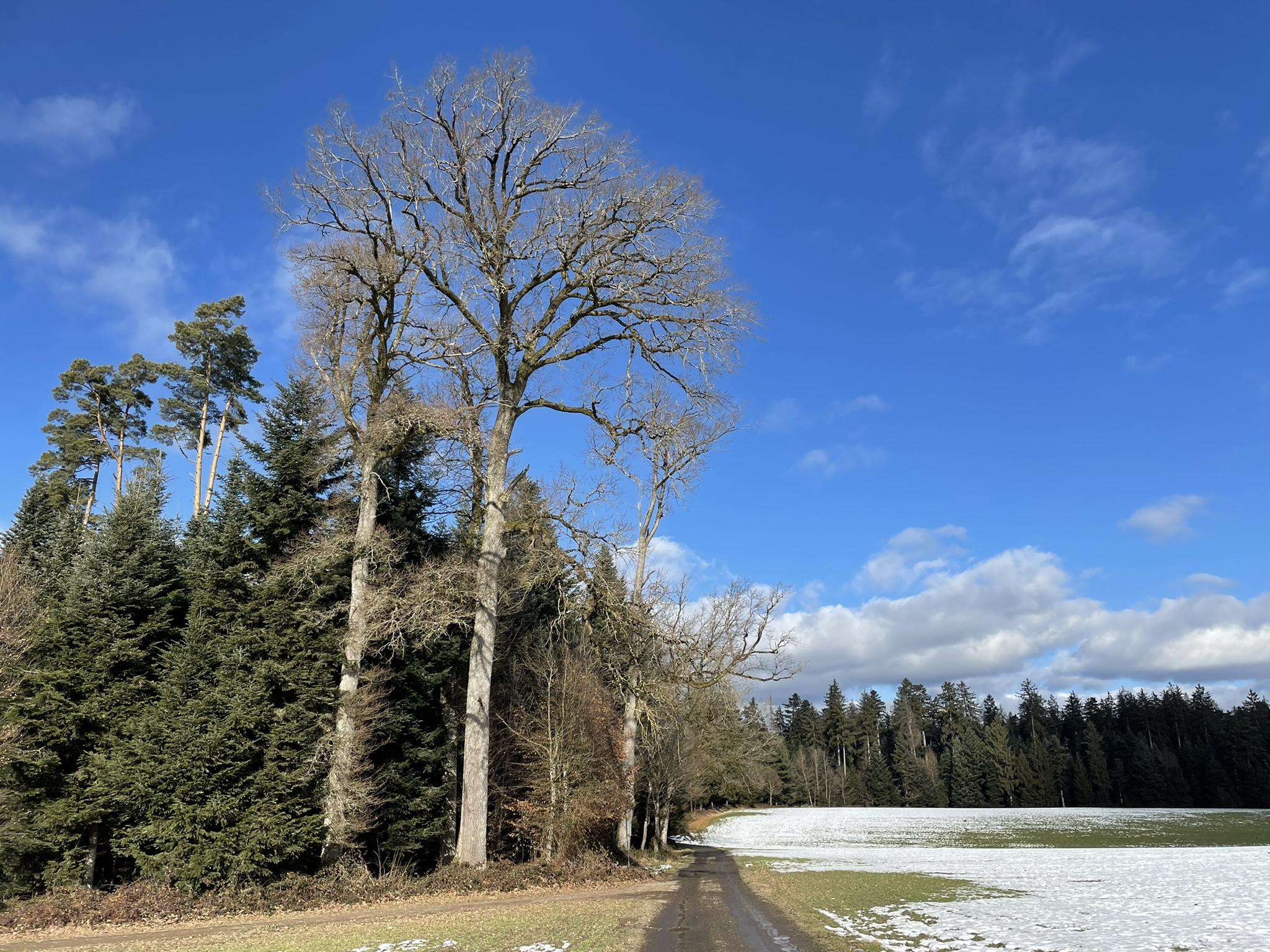 Ausflugsziele rund um Huttwil - Die Top 20 | Komoot