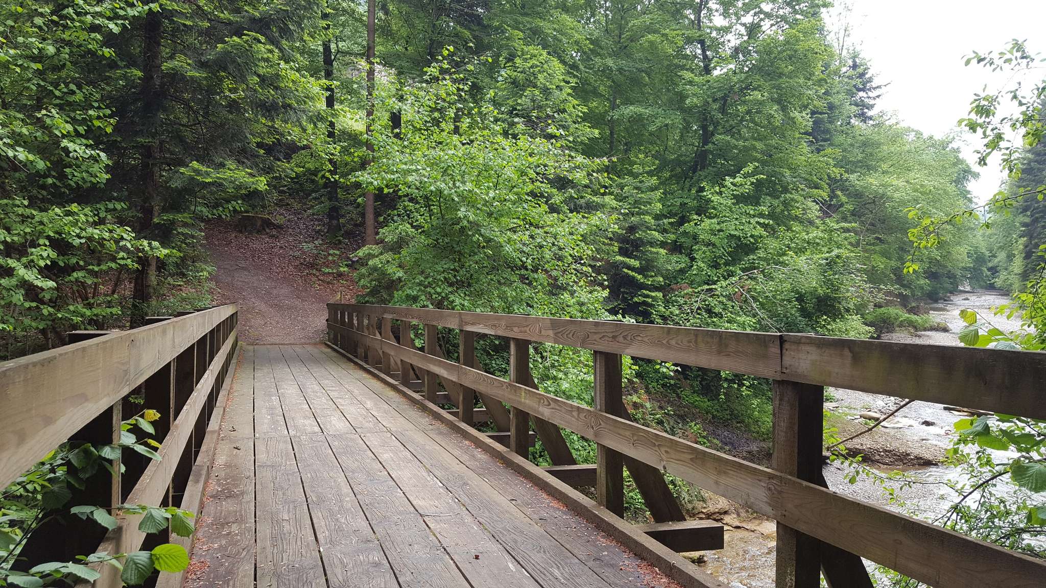 Ausflugsziele rund um Sursee - Die Top 20 | Komoot