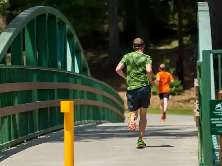 Top 20 Running Trails around Greenville | Komoot
