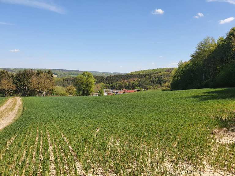 Top 10 Hikes and Walks around Eulenberg | Komoot