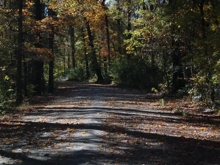 Top 10 Bike Rides and Cycling Routes around Memphis | Komoot