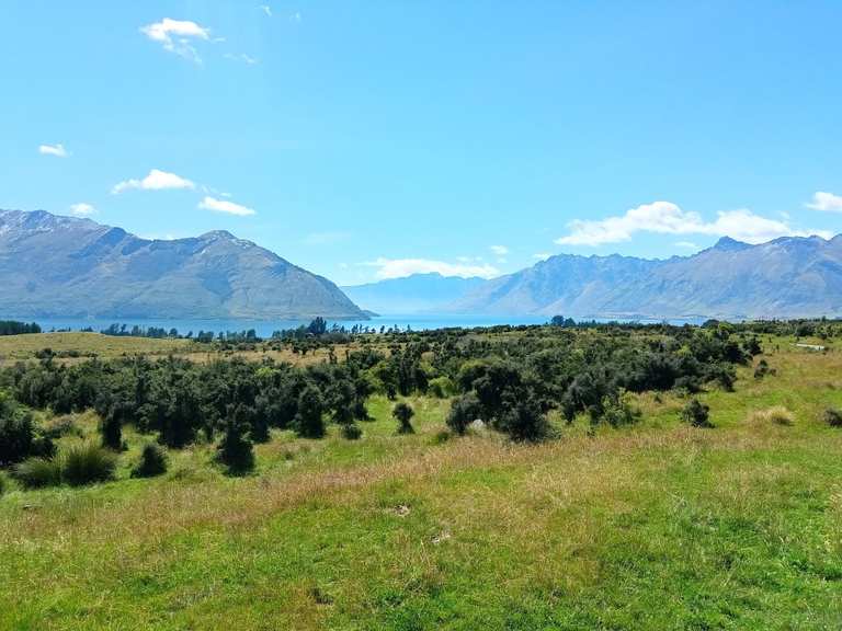 Top 10 Hikes and Walks in the Eyre Mountains | Komoot