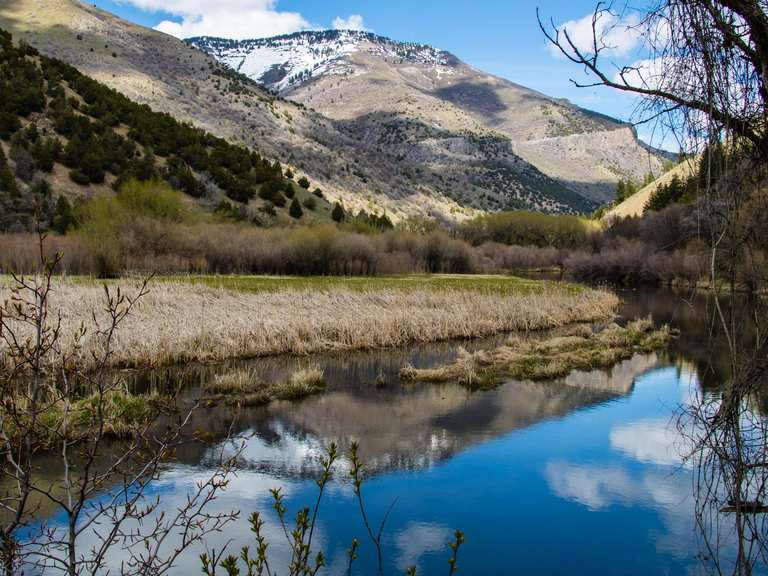 Top 11 Hikes and Walks around Logan | Komoot