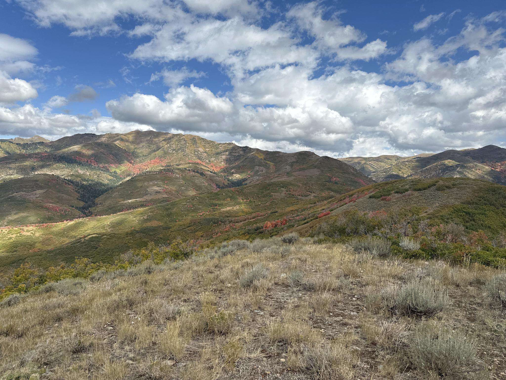 Top 9 Hikes and Walks around Emigration Canyon | Komoot