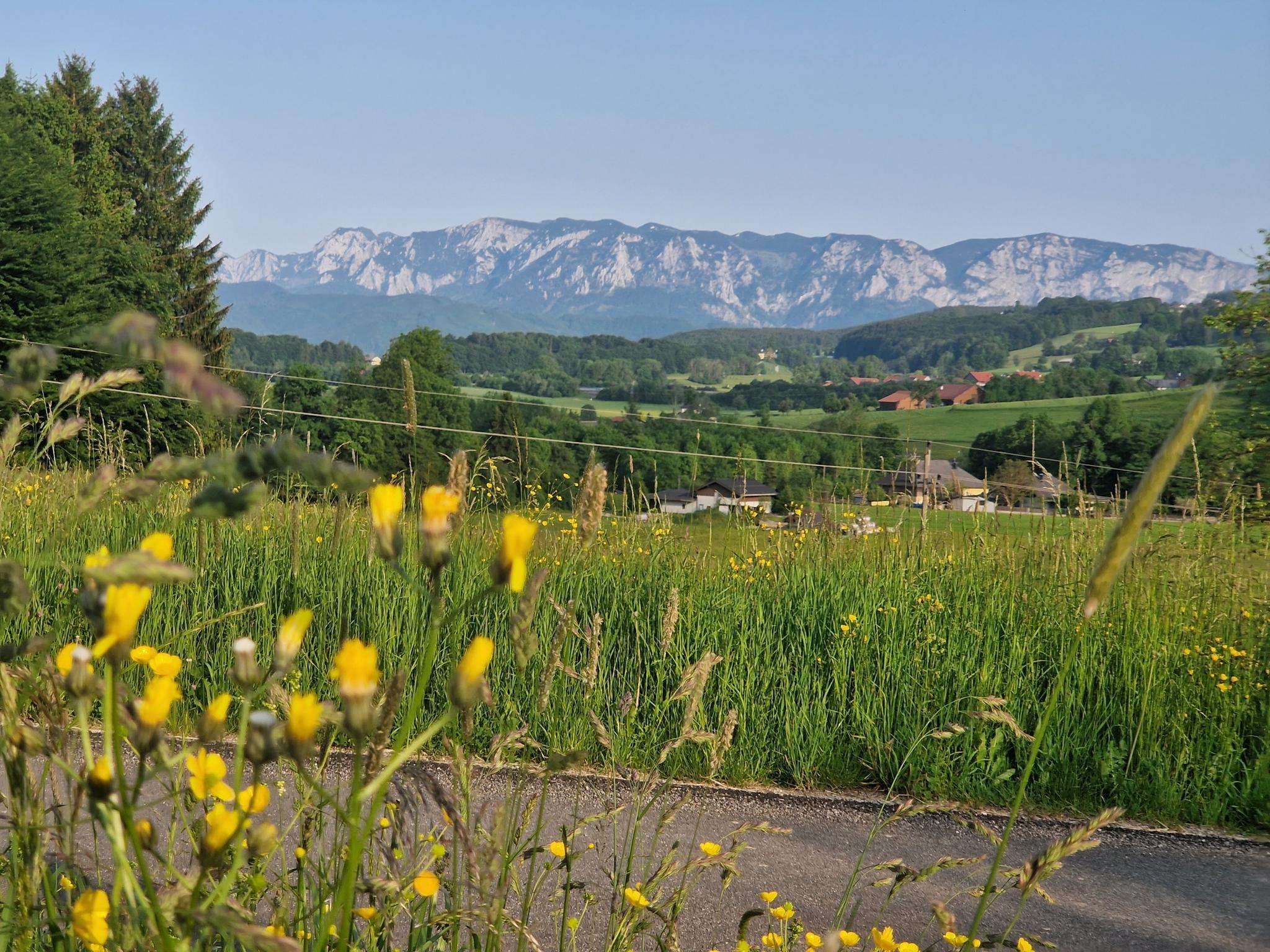 Ausflugsziele rund um Sankt Georgen im Attergau - Die Top 20 | Komoot