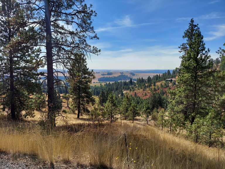 Top 10 Hikes and Walks around Spokane Valley | Komoot