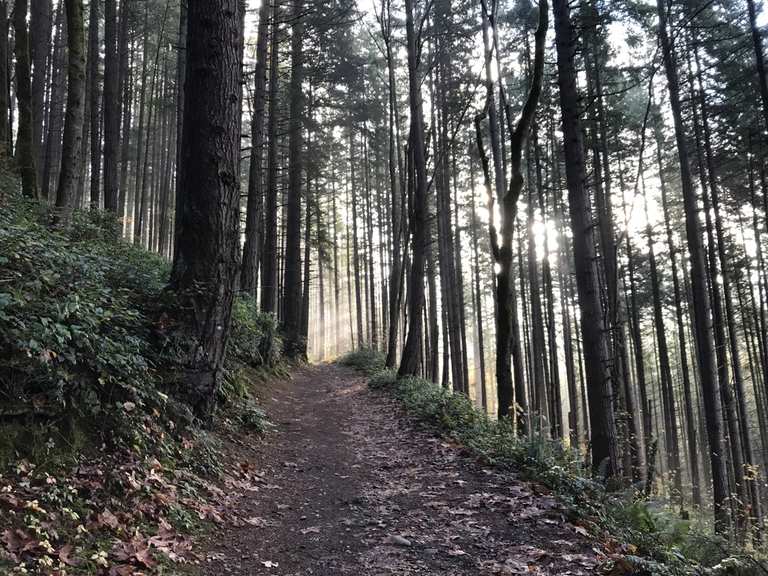 Top 10 Hikes and Walks around Issaquah | Komoot