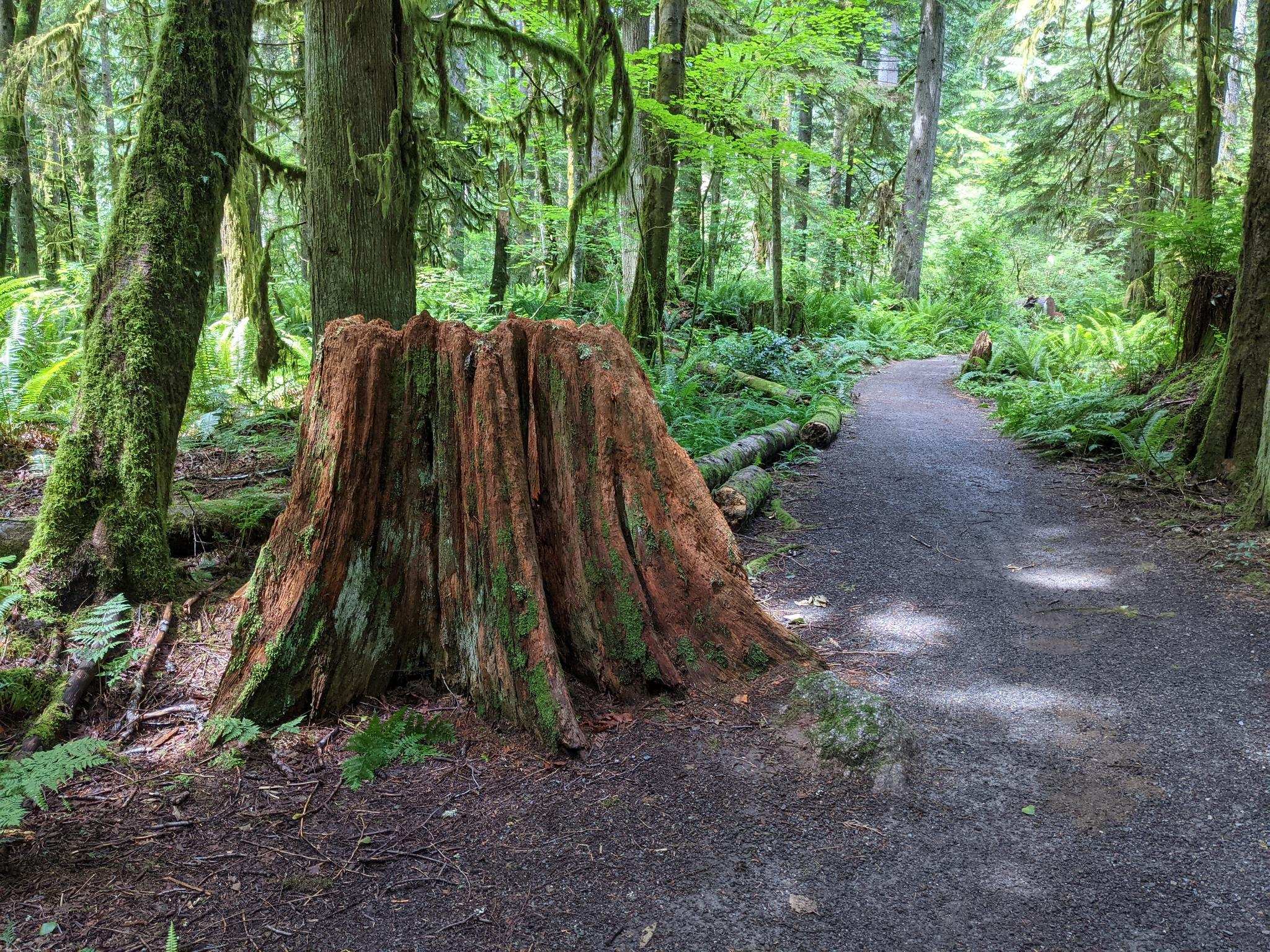 Top 20 Hikes and Walks around Redmond | Komoot