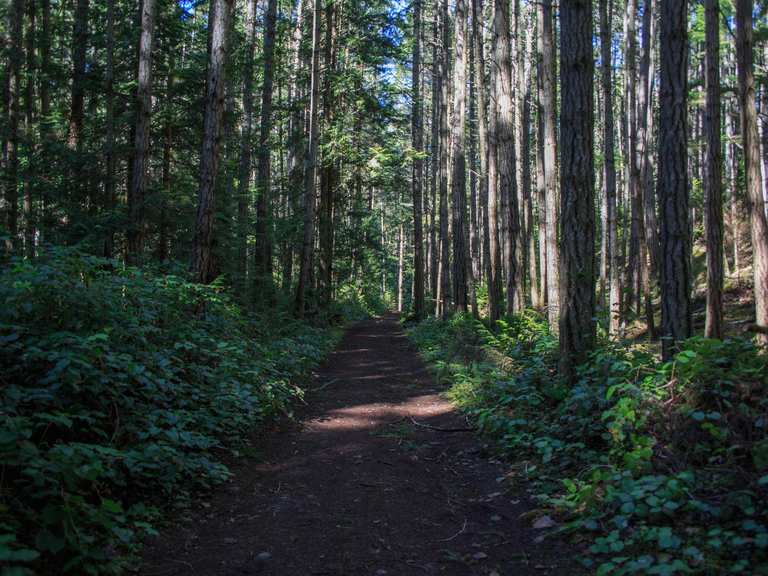 Top 8 Hikes and Walks around Sequim | Komoot