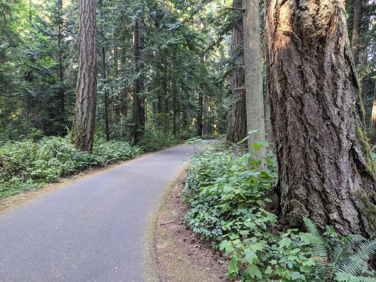 The best cycling routes around Sequim | Komoot