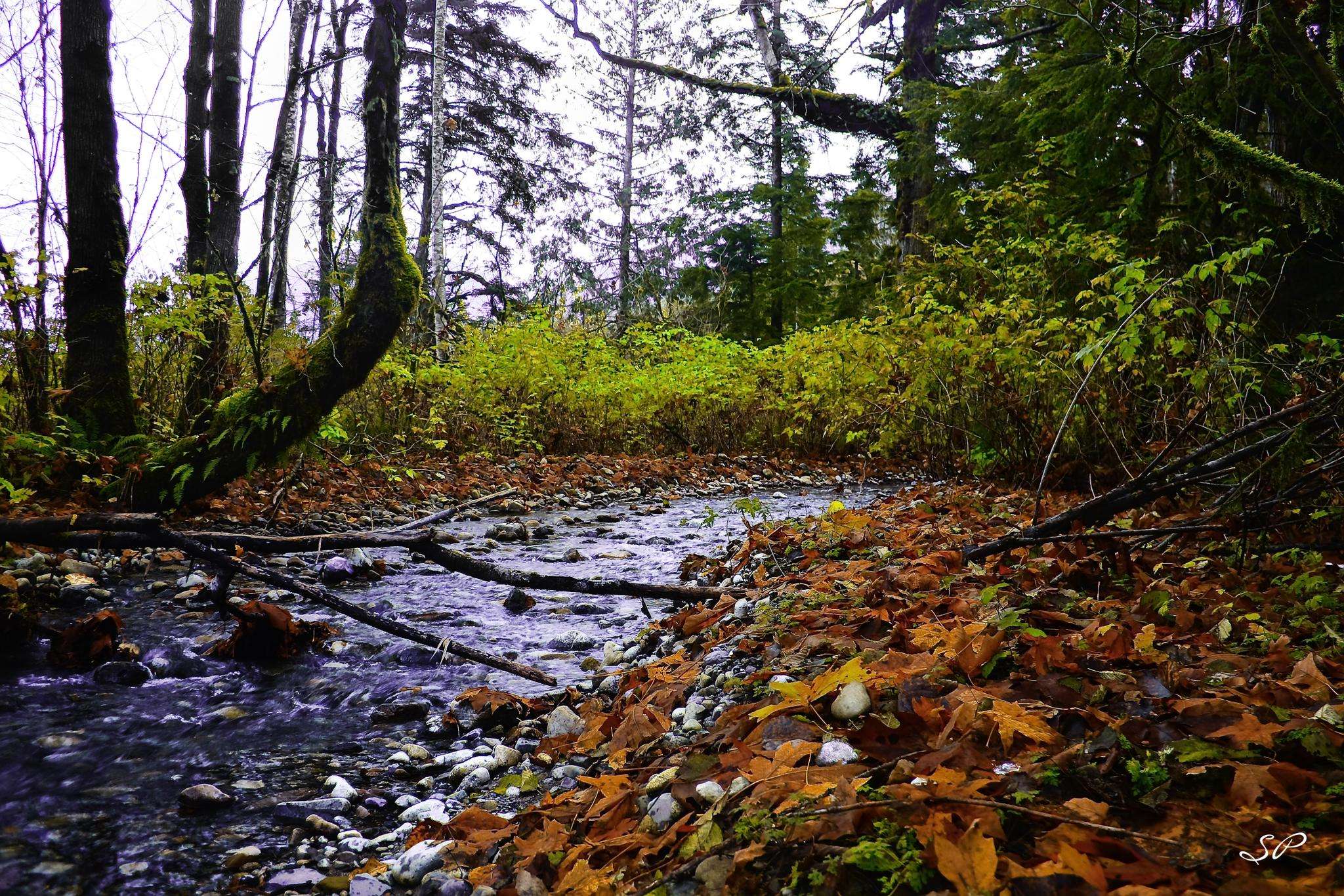 Top 7 Hikes and Walks around Gold Bar | Komoot