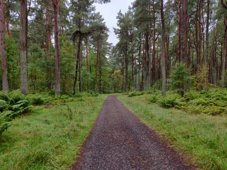 Top 10 Bike Rides and Cycling Routes in Fife | Komoot