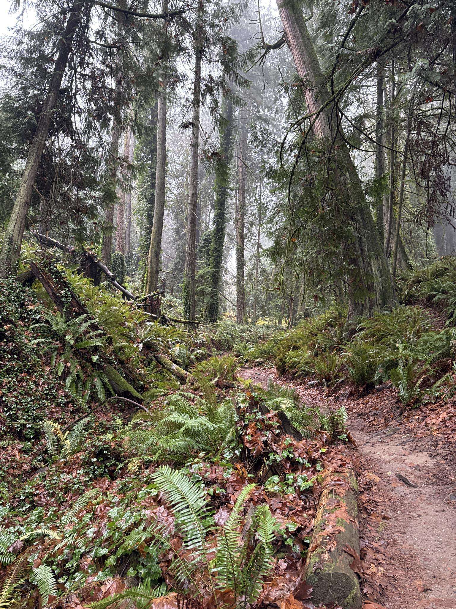 Top 9 Hikes and Walks around Silverdale | Komoot