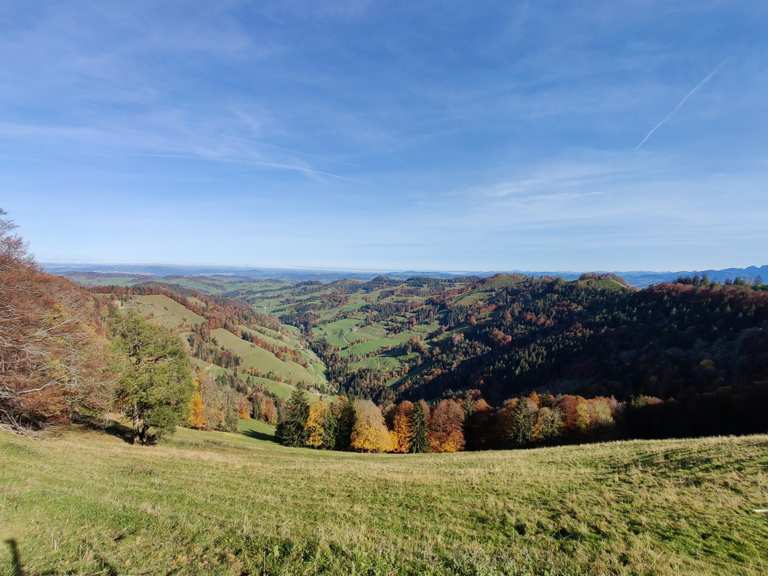 Die 10 schönsten Wanderungen rund um Fischenthal | Komoot