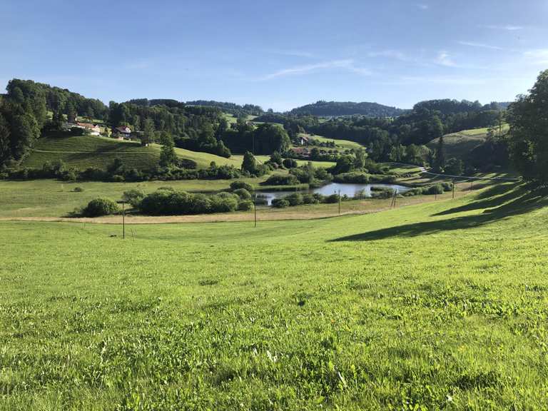 Die schönsten Wanderungen rund um Flawil | Komoot