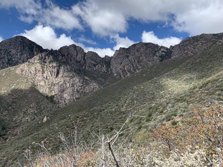 Top 10 Hikes and Walks in Four Peaks Wilderness | Komoot