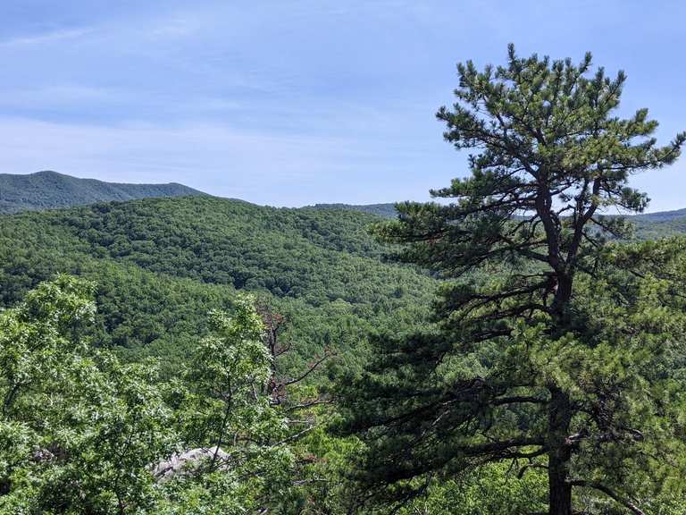 Top 10 Hikes and Walks in Three Ridges Wilderness | Komoot